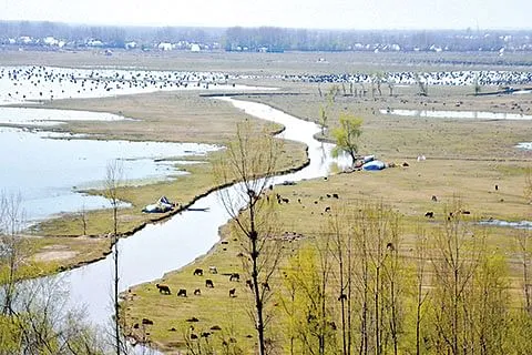 DC Bandipora inspects ongoing Work on Wular Walkway Project - Greater ...